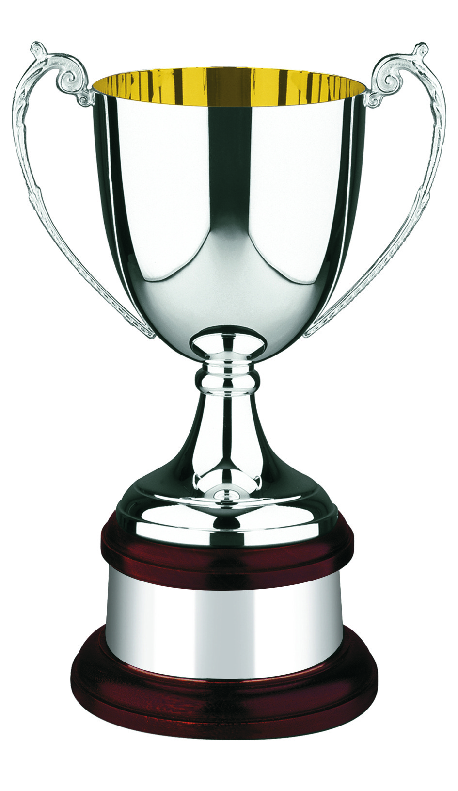 Silver & Gold Plated Prestige Award - SilverTrophy