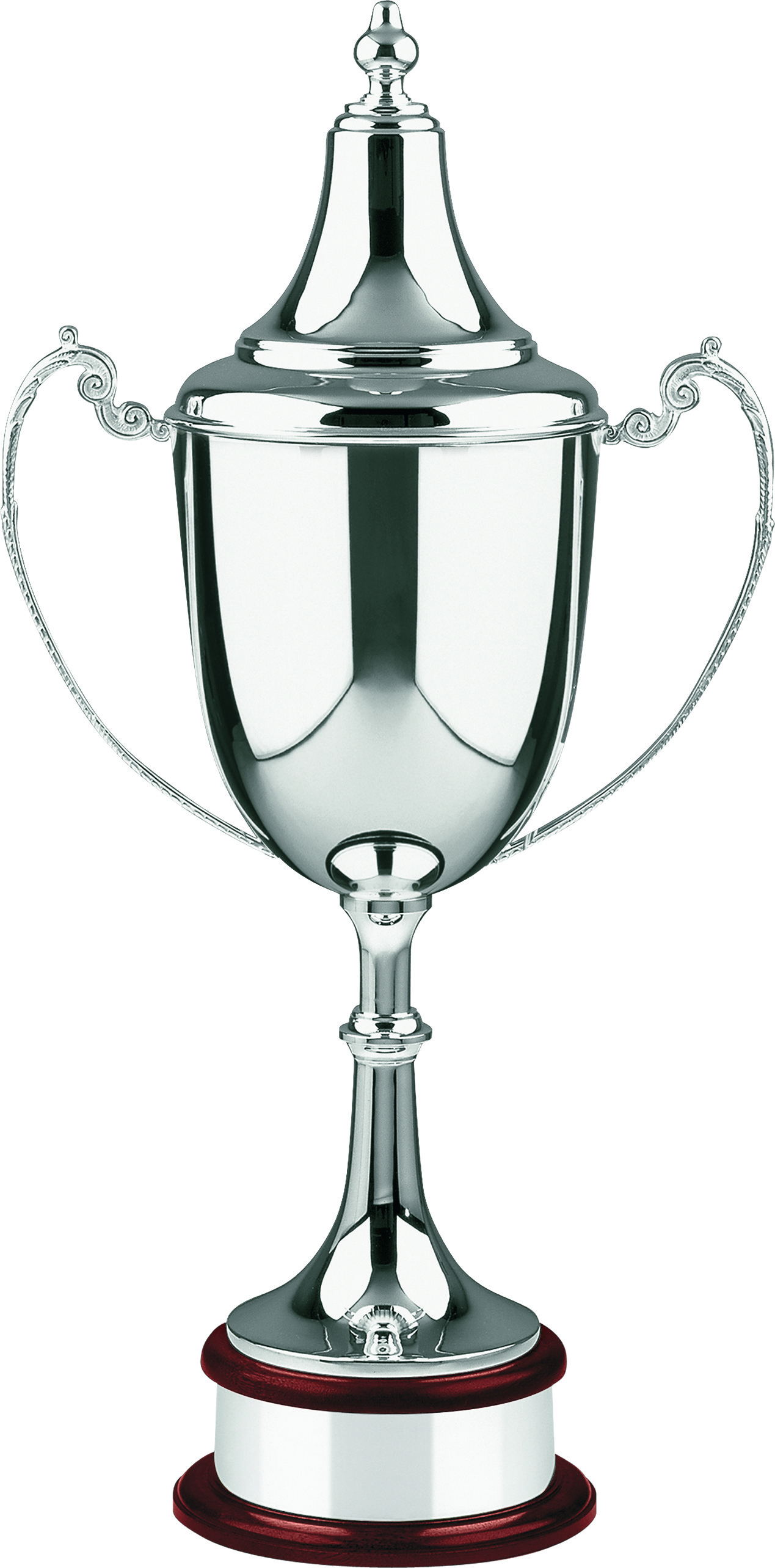 Silver Plated Champions Supreme Cup - SilverTrophy