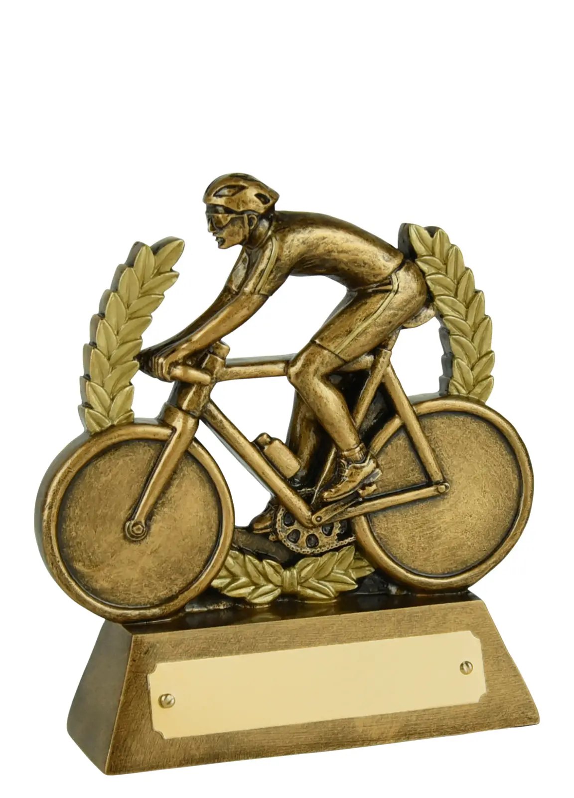 Cycling Award - SilverTrophy