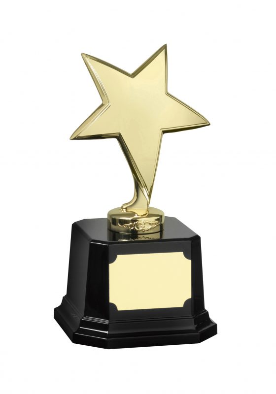 Silver Star Award on Black Base - SilverTrophy