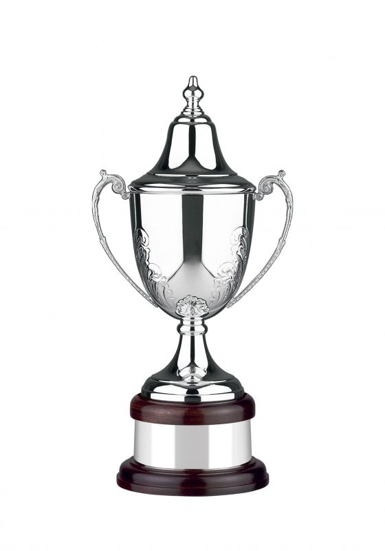 Silver Plated Supreme Daffodil Award - SilverTrophy