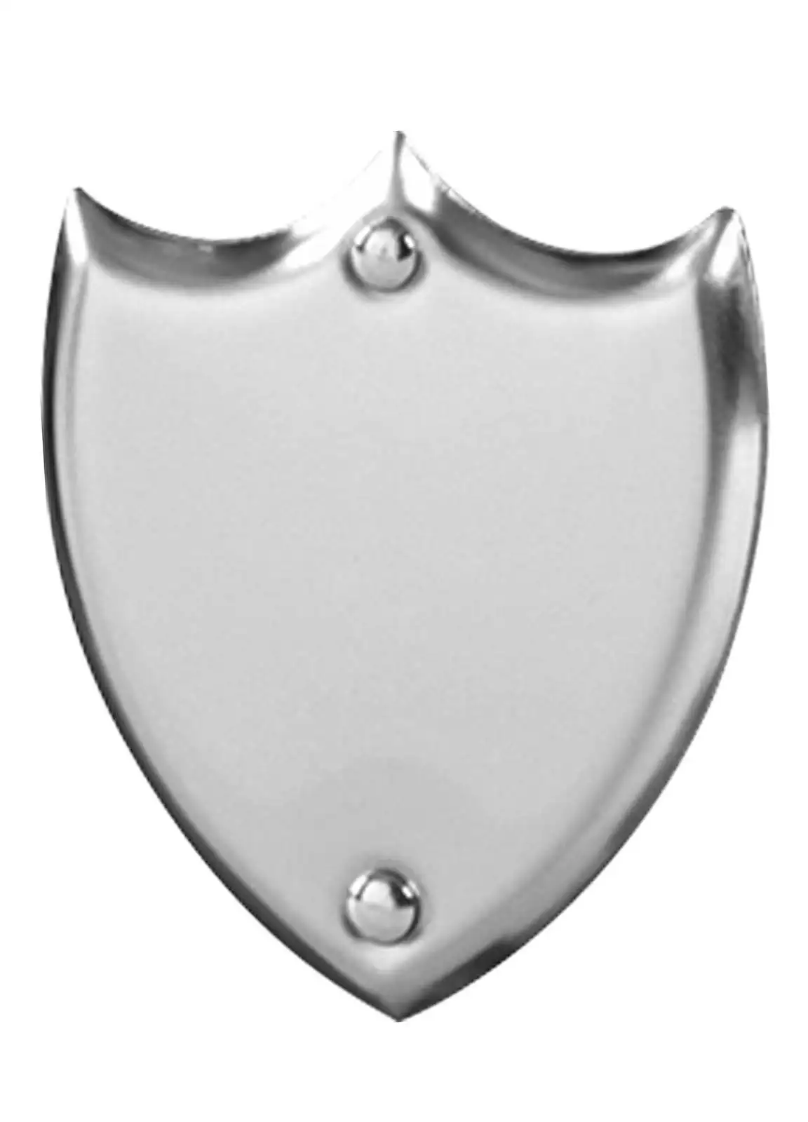 Traditional Perpetual Side Shield - SilverTrophy